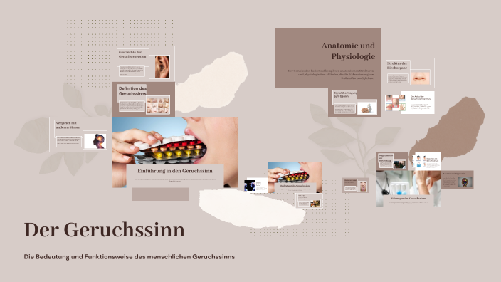 Der Geruchssinn by Kjell Friedrichsen on Prezi