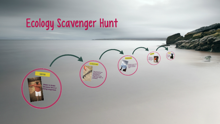 Ecology Scavenger Hunt by Owen Appleton on Prezi
