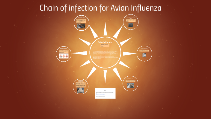 Chain of Infection Project by Abigail Eskuri on Prezi