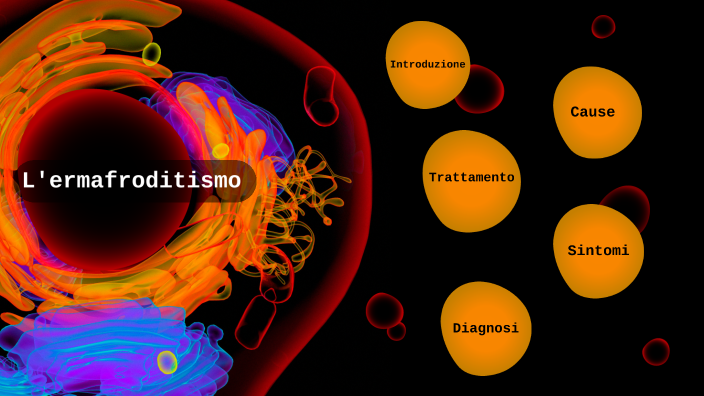 L'ermafroditismo by Giga Chad on Prezi