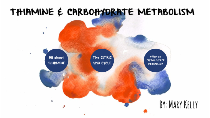Thiamine (Vitamin B1) & Carbohydrate Metabolism by Mary Chaumpluke on Prezi