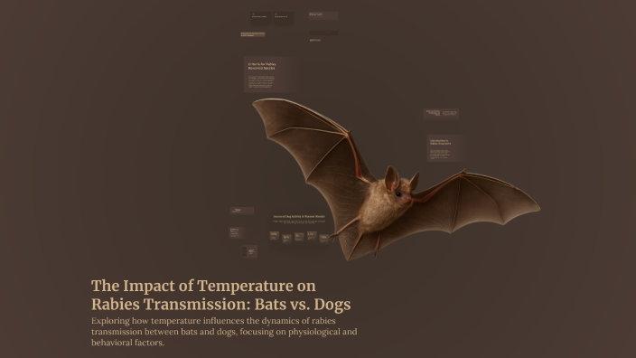 The Impact of Temperature on Rabies Transmission: Bats vs. Dogs by ...