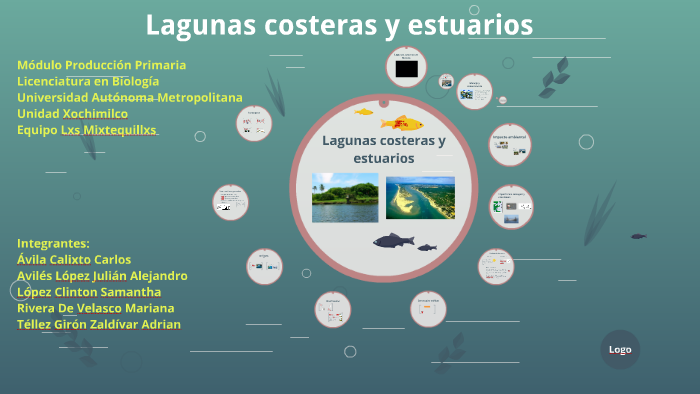Lagunas costeras y estuarios by Mawi RDV on Prezi