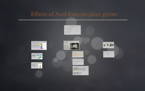 Effects of Acid Rain on plant grows by 野元 敢太