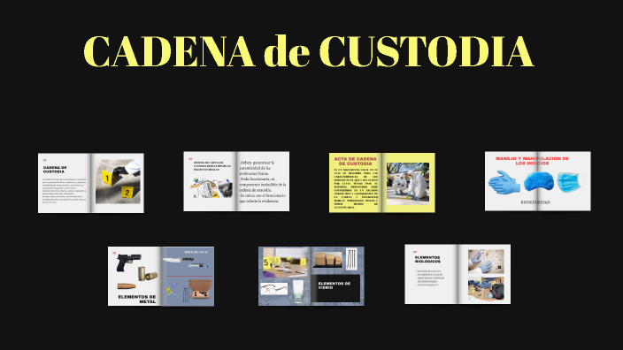 CADENA DE CUSTODIA by ADELA ROMY QUISPE CORAITE on Prezi