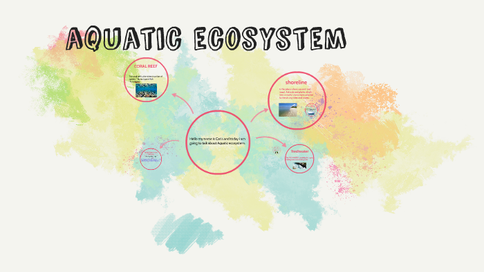acuátic ecosystem by Gabriel Falcon on Prezi