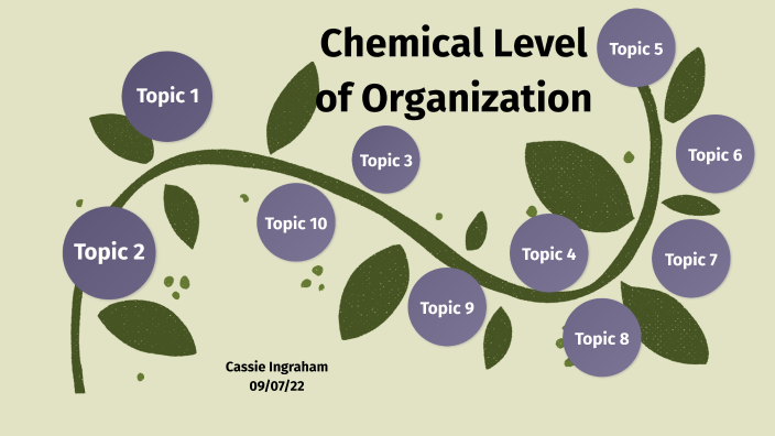 Chemical Level of Organization Presentation by Cassie Ingraham on Prezi
