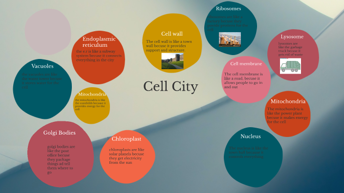 Cell City by Reese Blanchard on Prezi