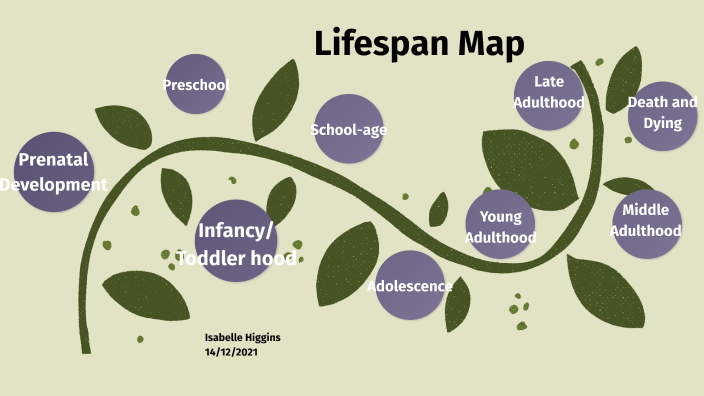 Lifespan Map by Isabelle Higgins on Prezi