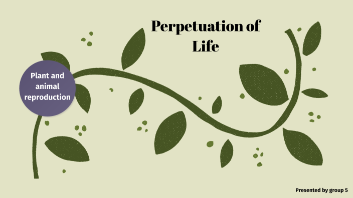Perpetuation of Life by Carlo Aplacador on Prezi