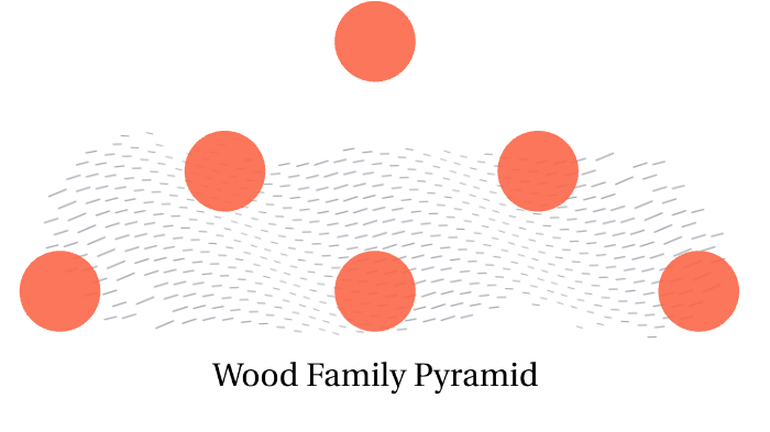 family pyramid by kathryn wood on Prezi