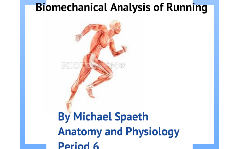 Anatomy and Physiology running by Michael Spaeth on Prezi