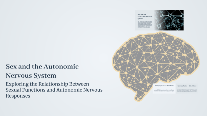 Sex And The Autonomic Nervous System By Ping Han Tsai On Prezi