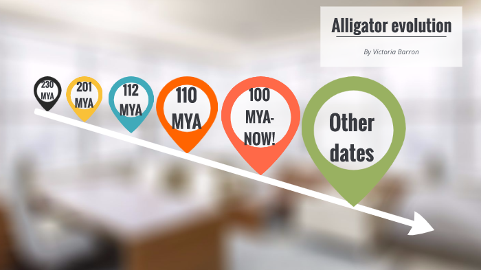 Alligator Evolution by Victoria Barron on Prezi