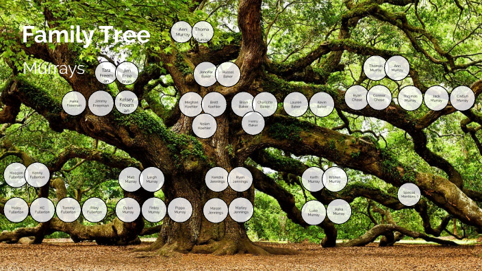 Murray Family Tree Presentation by Keira Freeman on Prezi