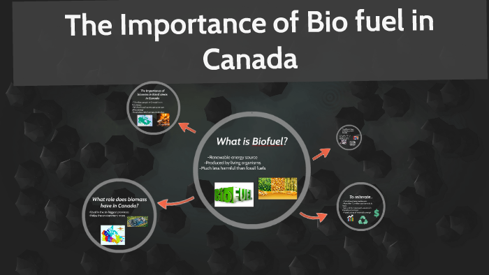 The Importance of Biofuel in Canada by umar ghani on Prezi