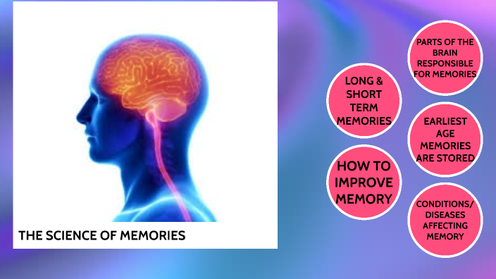 The science of memories by Adriana Secaira on Prezi