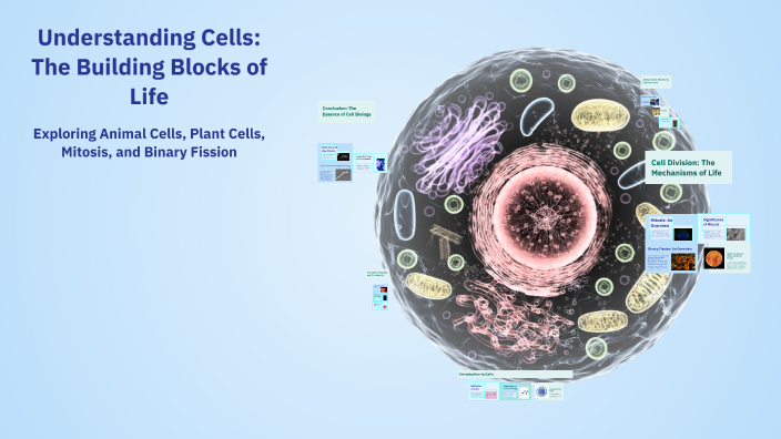 Understanding Cells: The Building Blocks of Life by faith taylor on Prezi