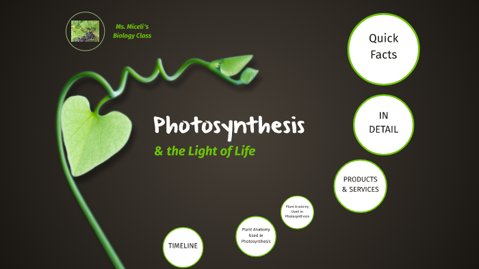 Photosynthesis by Jennifer Miceli on Prezi