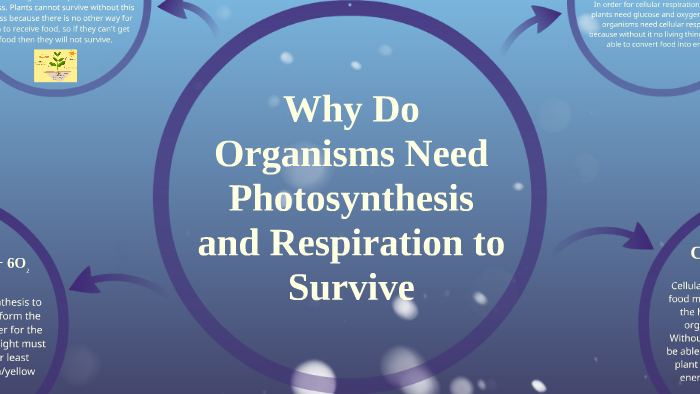 Why Do Organisms Need Photosynthesis and Respiration to Surv by Kara ...