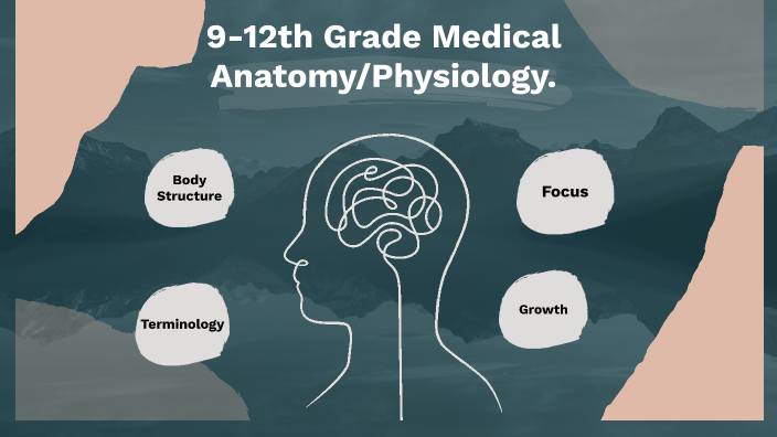 Medical Anatomy Prezi By Brody Pollmann On Prezi