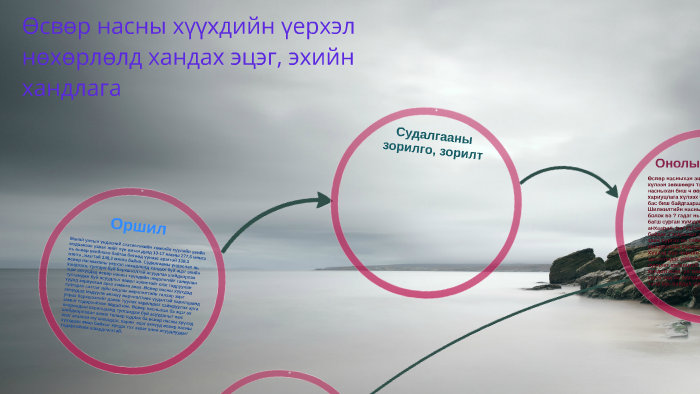 Өсвөр насны хүүхдийн үерхэл нөхөрлөлд хандах эцэг эхийн хан By