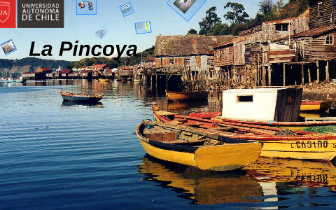 La pincoya by Francisca Guerrero