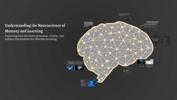 Understanding the Neuroscience of Memory and Learning by Alexandra ...