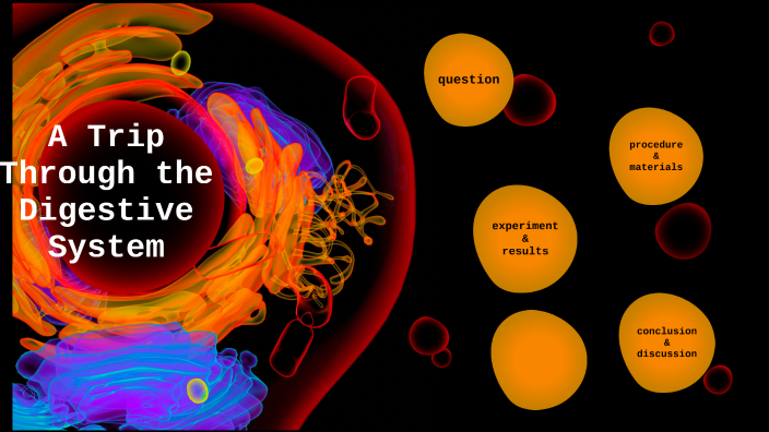 A Trip Through The Digestive System by Grace Campbell on Prezi