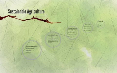 Sustainale Agriculture by Fatima Faris on Prezi