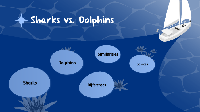 Sharks vs. Dolphins by Sydney Savery on Prezi