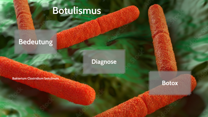 Botulismus by Emily Legner on Prezi
