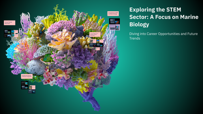 Exploring the STEM Sector: A Focus on Marine Biology by fiachra carr on ...