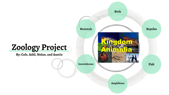 Zoo Project Concept Map by Addilyn Froehling on Prezi