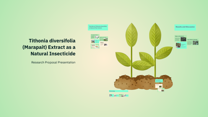 Tithonia diversifolia (Marapait) Extract as a Natural Insecticide by ...