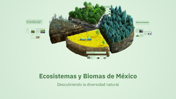 Ecosistemas y Biomas de México by ana patty ortiz mantilla on Prezi