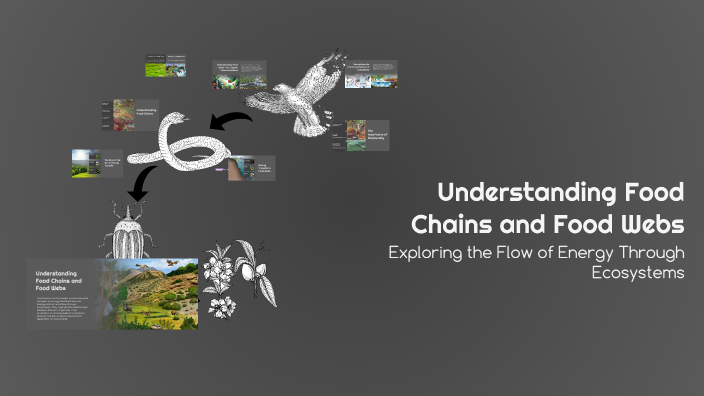 Understanding Food Chains and Food Webs by Jessica Davis on Prezi