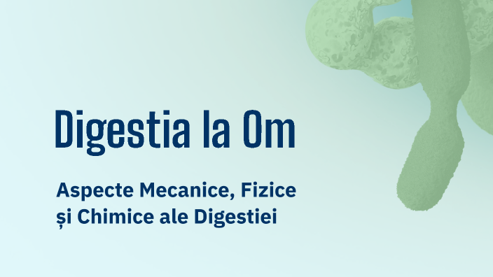Digestia la Om by balan balan on Prezi