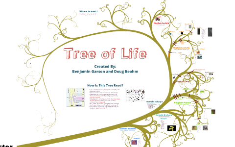 Tree of Life Project by Benjamin Garson on Prezi