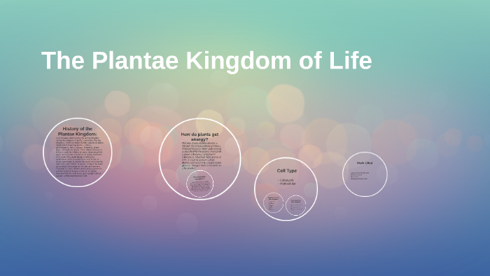 Plantae by Gillian Chavez on Prezi