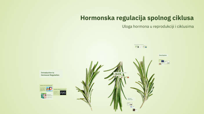 Hormonska regulacija spolnog ciklusa by Stipe Barač on Prezi