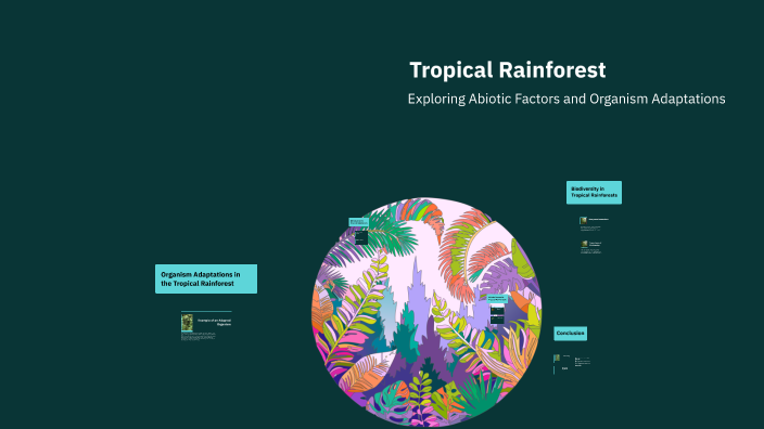 Tropical Rainforest: A Diverse Ecosystem by maya maani on Prezi