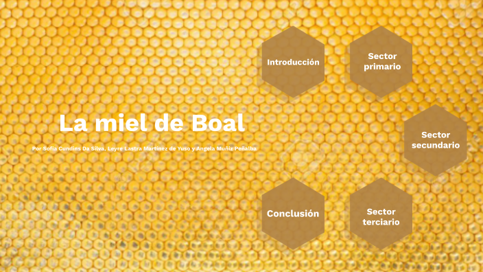 Miel de Boal by LEYRE LASTRA MARTINEZ DE YUSO on Prezi