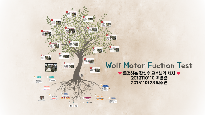 Wolf Motor Fuction Test by 주연 박 on Prezi