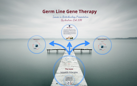 Germ Line Gene Therapy by Andrew Loh on Prezi