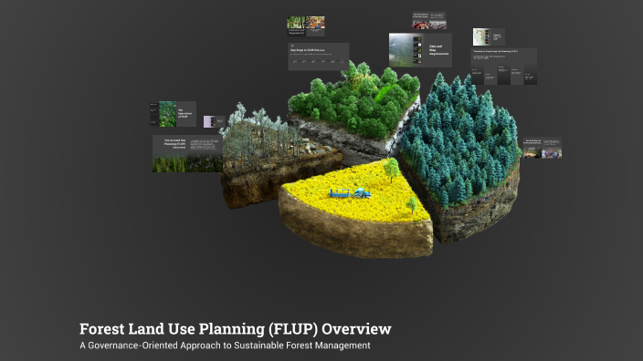 Forest Land Use Planning (FLUP) Overview by Aileen Chio on Prezi