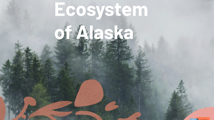Ecosystem of Alaska by Zalyn Chavez on Prezi