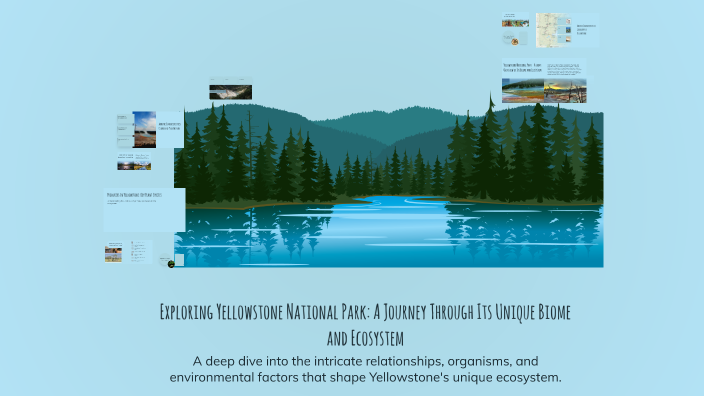 Exploring Yellowstone National Park: A Journey Through Its Unique Biome ...