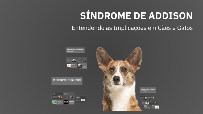 SÍNDROME DE ADDISON by Maria Ribeiro on Prezi