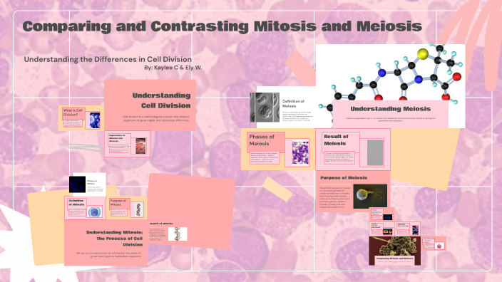 Comparing and Contrasting Mitosis and Meiosis by Kaylee Clark on Prezi